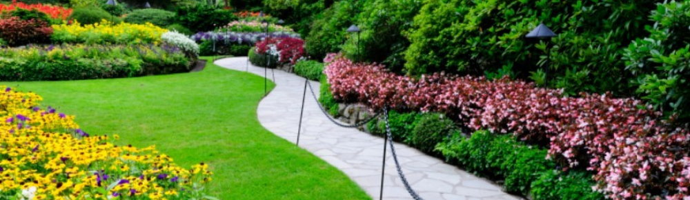 Lasting Images Landscape - Southern California Commercial Landscape ...